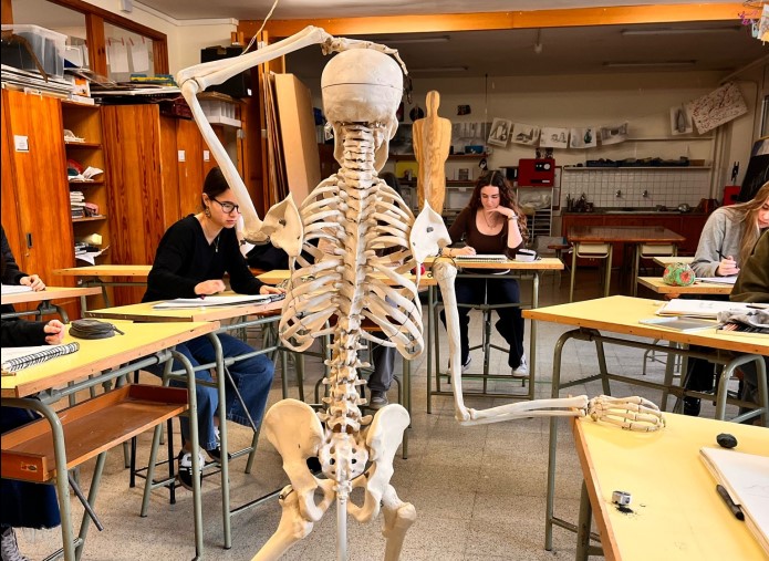 Comprendiendo el cuerpo humano en Dibujo artístico